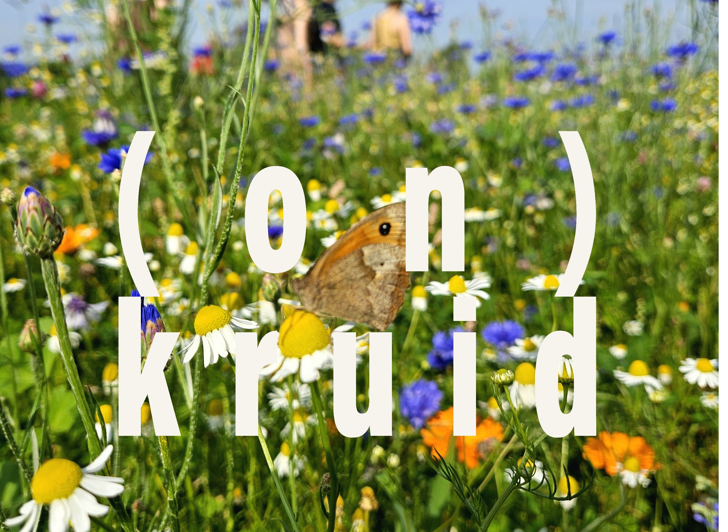 (on)kruid | (on)gewoon (h)eerlijk in thee